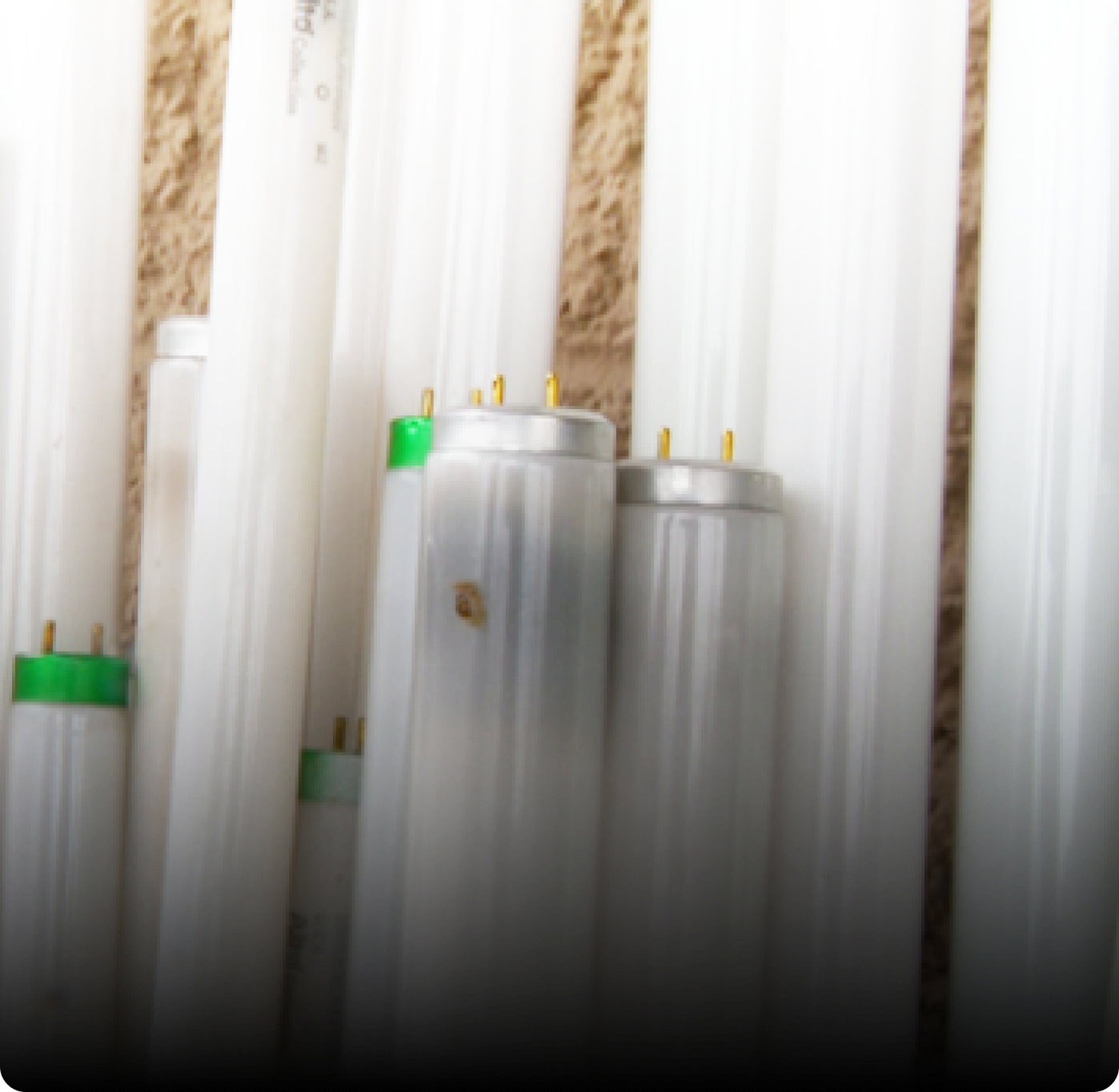 GoodBulb is changing the way light bulbs are manufactured.